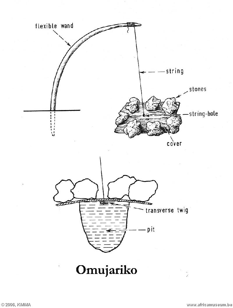 Nkutu Kubidi